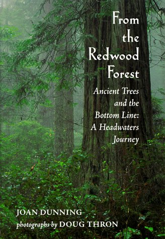 Redwood Tree Quotes