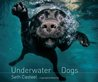 Underwater Dogs by Seth Casteel — Reviews, Discussion, Bookclubs, Lists